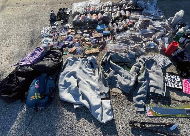 The Latest Cannabis News - All That Cannabis